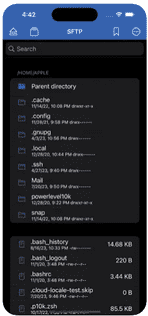 2024年IOS上最热门的5大SSH客户端推荐 - ServerCat | ServerCat